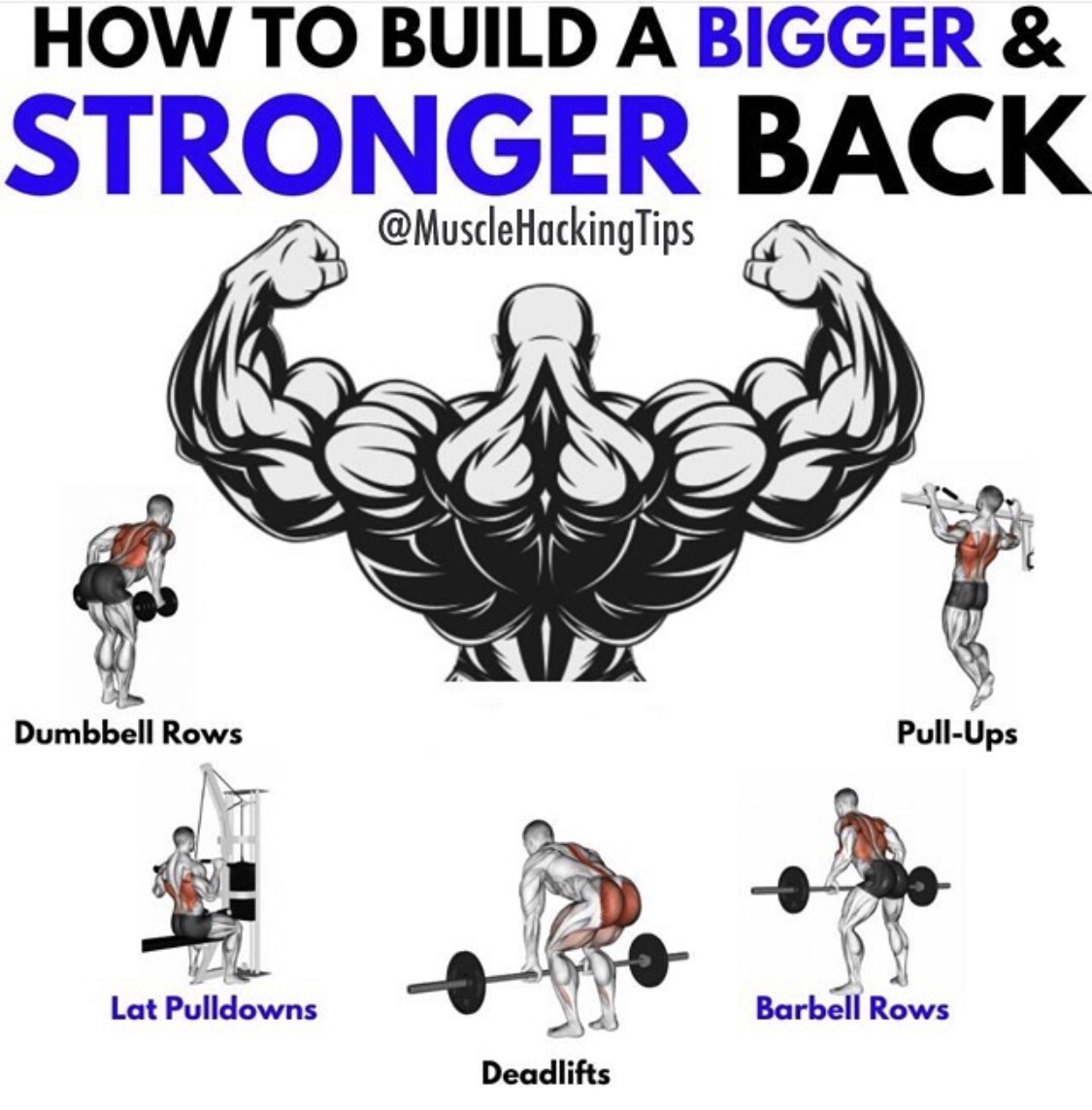 Build A Stronger Back