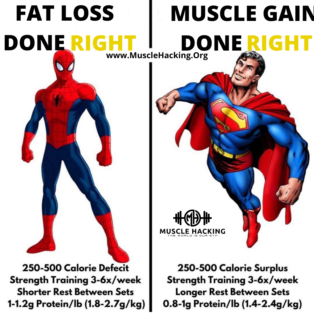 The Difference Between Fat Loss & Muscle Gain