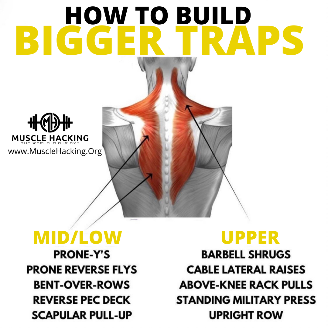 Building Bigger Traps