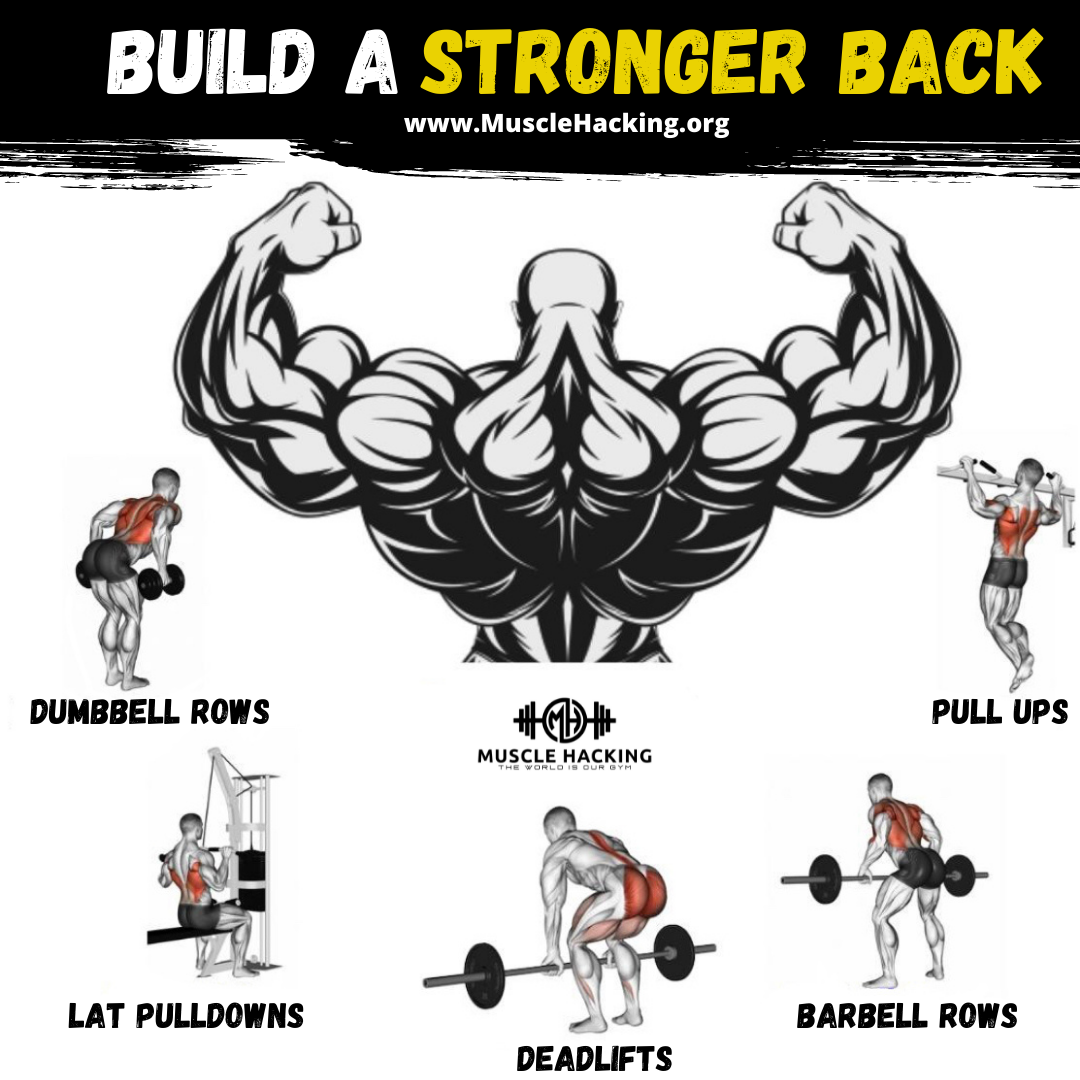 Build A Stronger Back