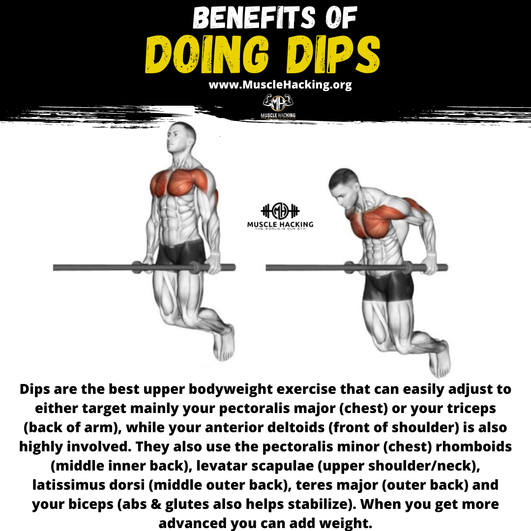 Dips Exercise