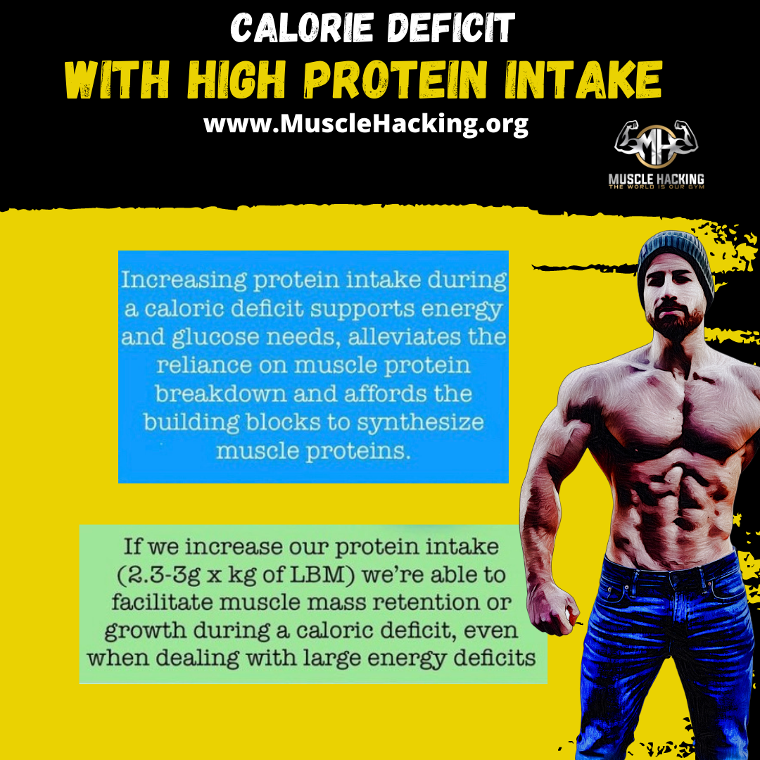 Calorie Deficit With High Protein intake