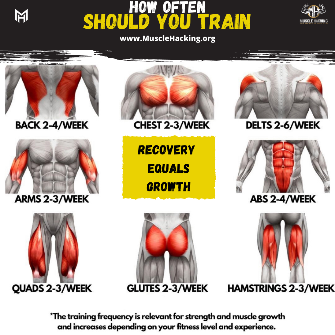 How Often Should You Workout?