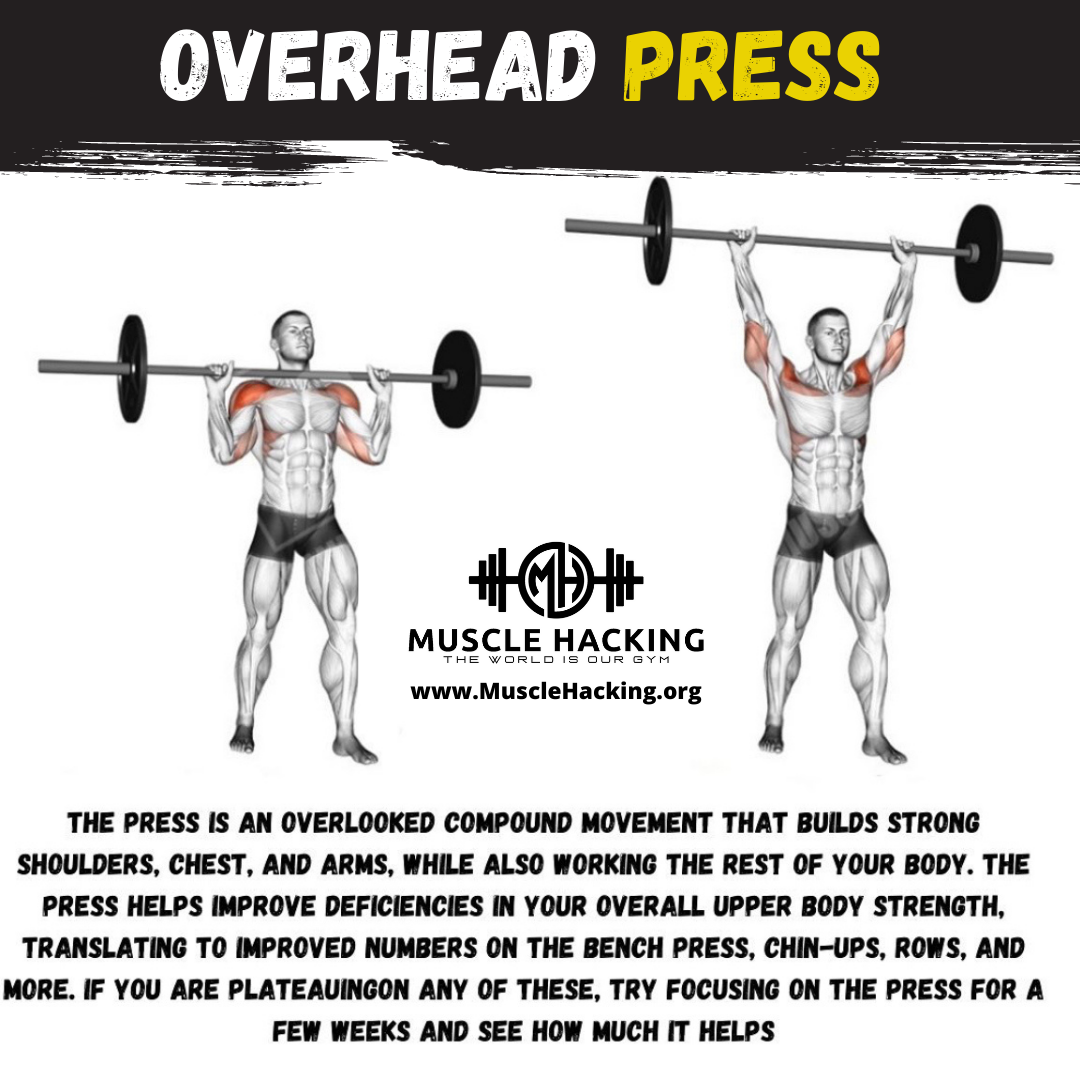 Overhead Press