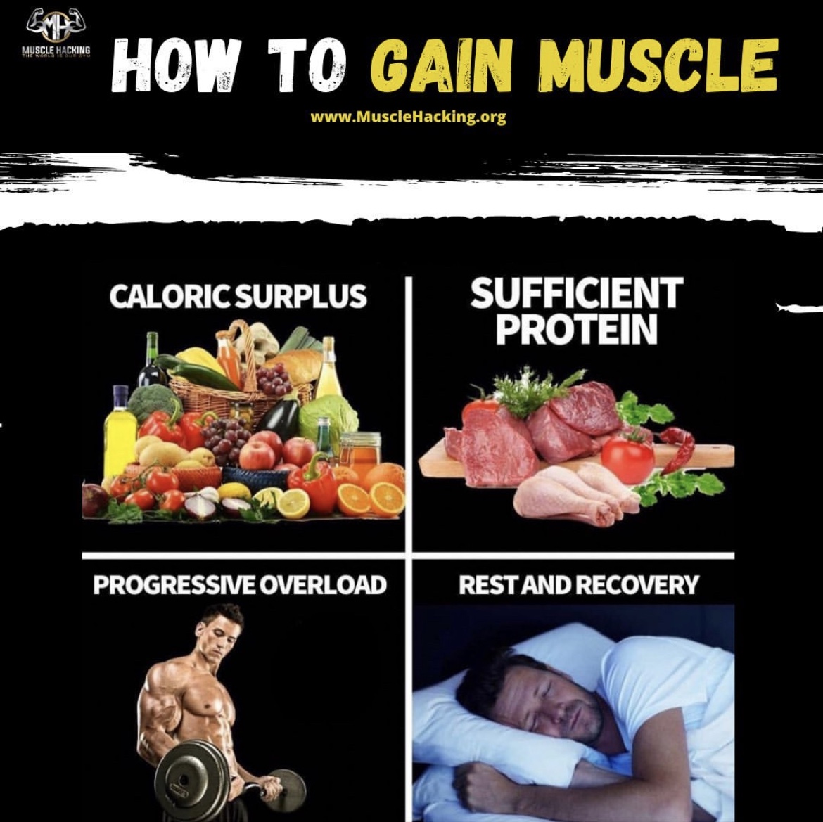 How To Gain Muscle