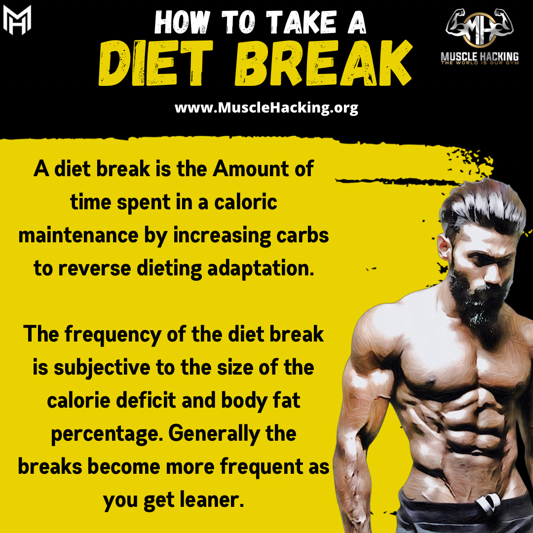 Diet Breaks