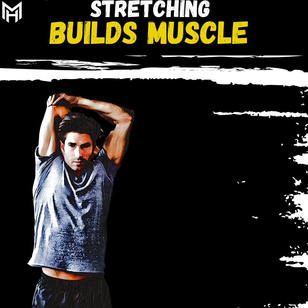 Stretching Builds Muscle